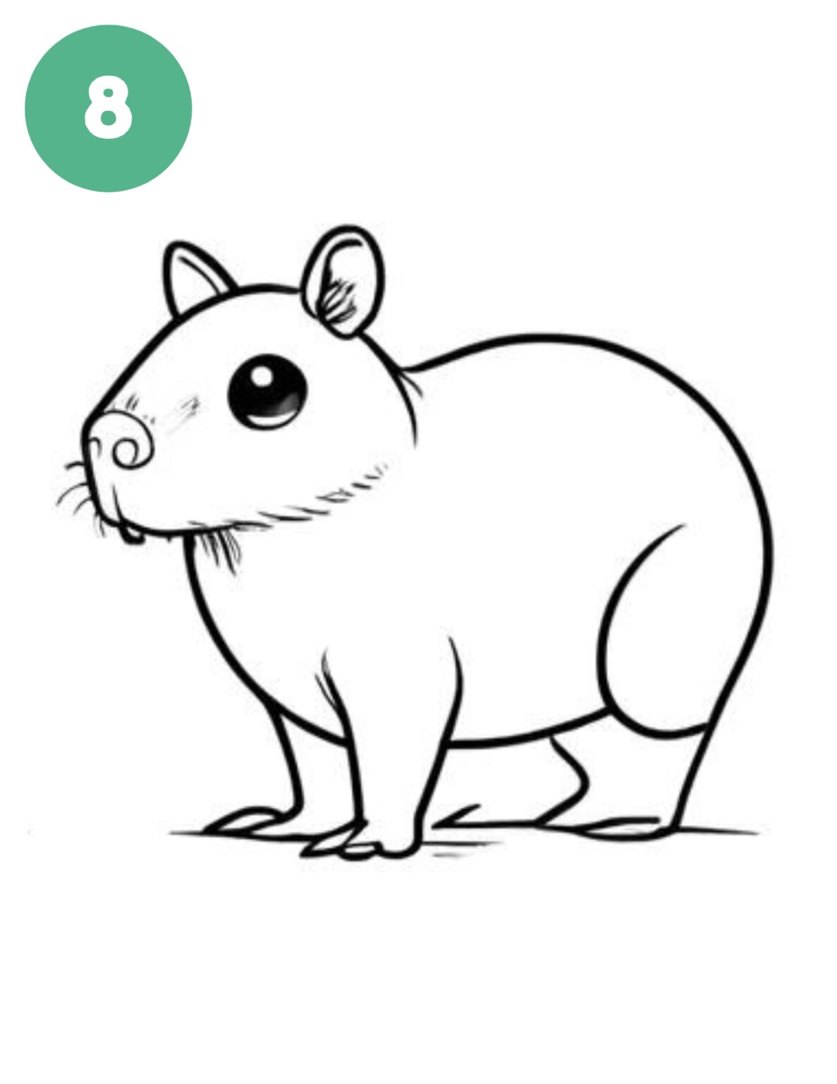 How to Draw a Capybara - CapyBara Mag