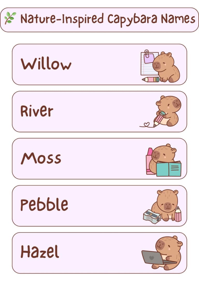200+ Capybara Names | Cute, Funny and Perfect for Your Pet!